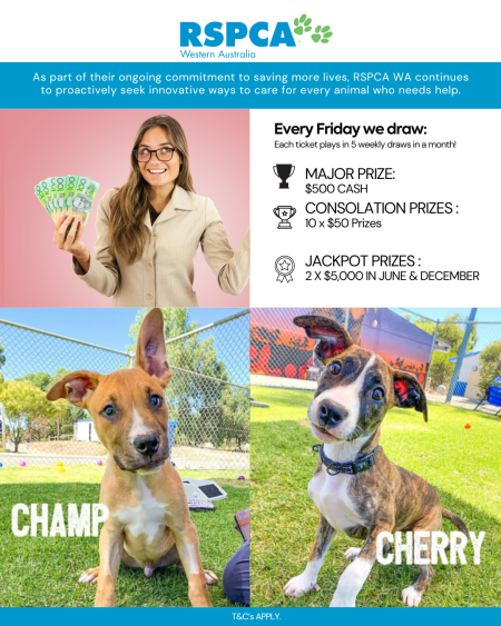 Charity Raffles - My Charity Raffle