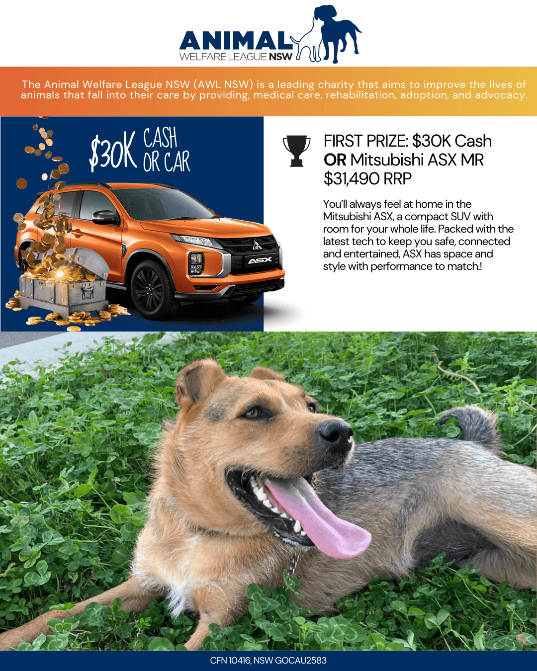 Home page - My Charity Raffle